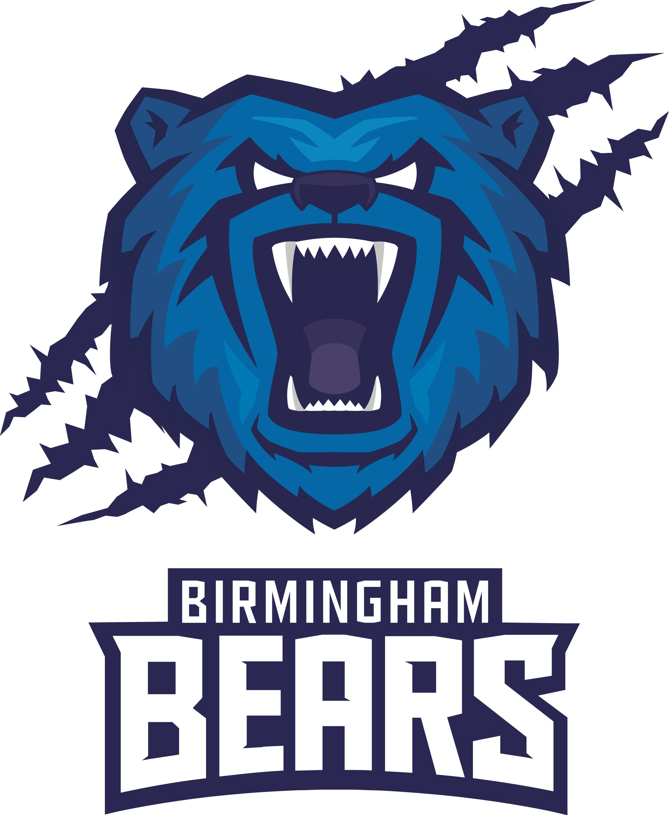 Burleigh Bears Logo