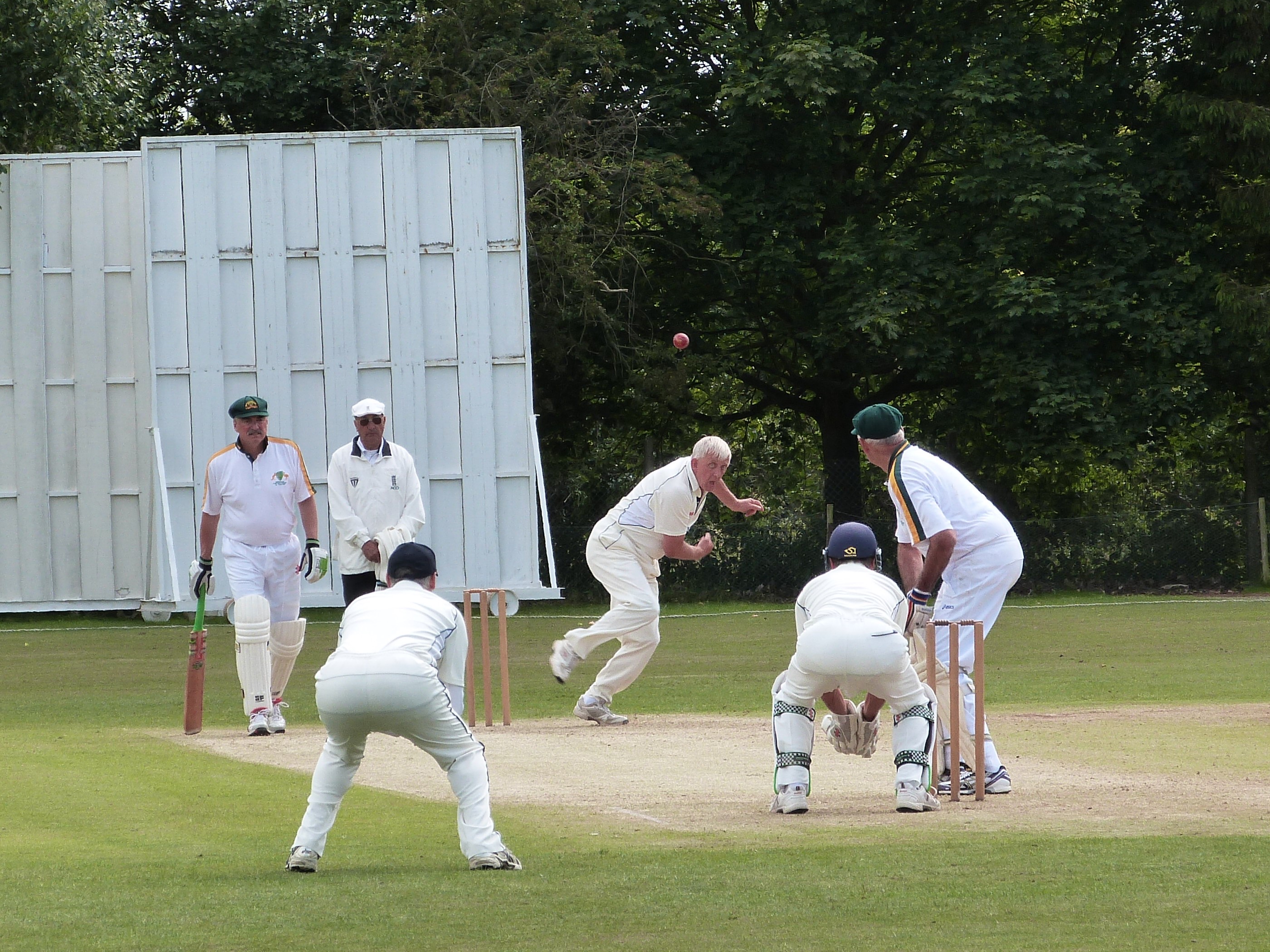 Cricket East - News - Bedfordshire Over 60s