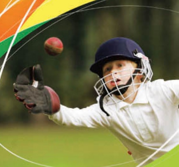 Yorkshire Cricket Board - News - Two NEW Safe Hands courses available ...