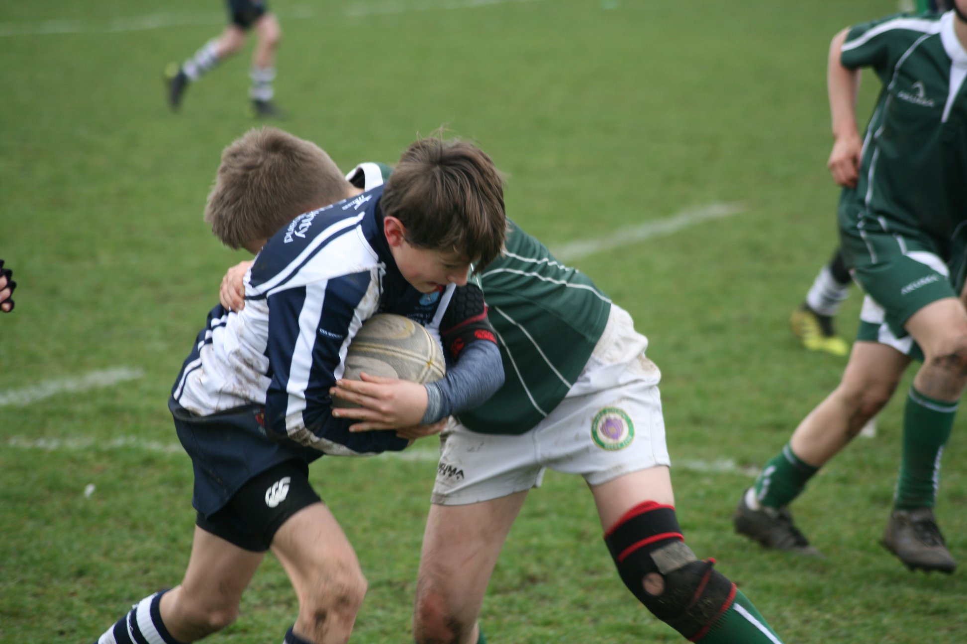 Eastern Counties Rugby Union - News - EASTERN COUNTIES U13 FESTIVALS