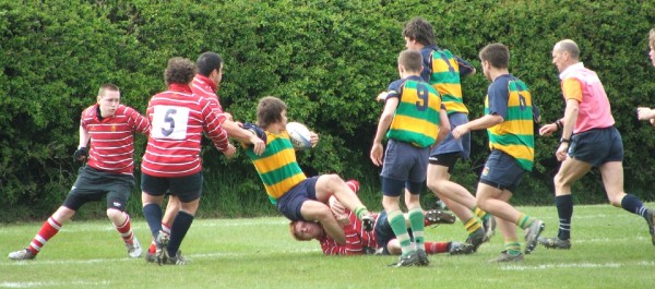 Sandbach RUFC - JungleKey.com Wiki