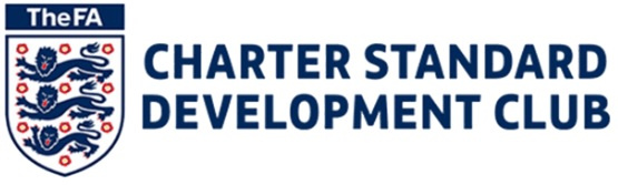 Fa Charter Standard Logo SCOTLAND V ENGLAND | Hampden Park
